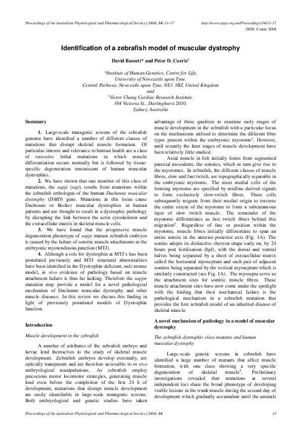 (PDF) Identification of a Zebrafish Model of Muscular Dystrophy