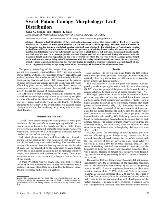 (PDF) Sweet Potato Canopy Morphology: Leaf Distribution