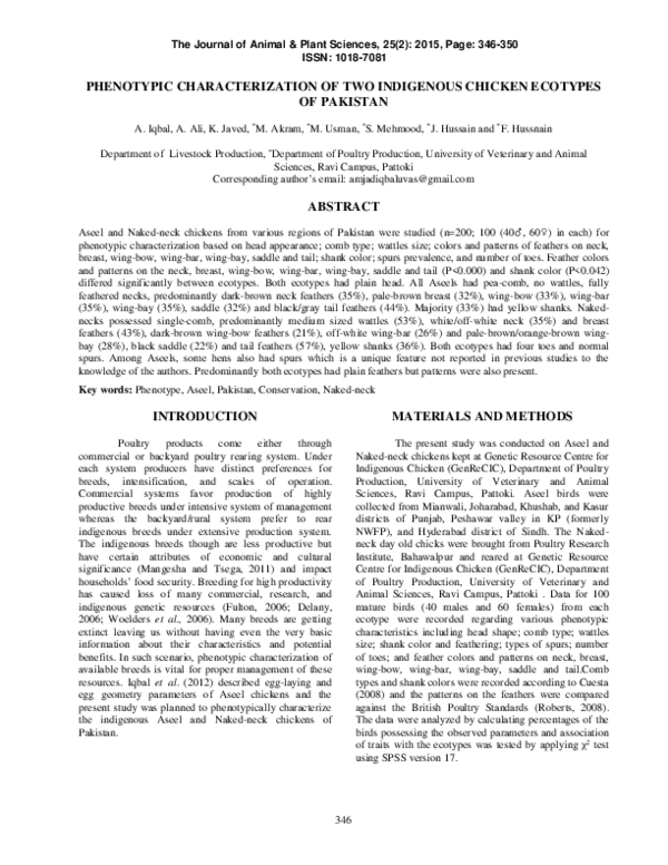 (PDF) Phenotypic Characterization of Two Indigenous Chicken Ecotypes of Pakistan | Shahid ...