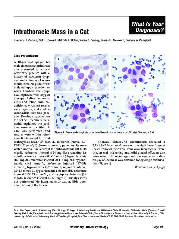 (PDF) Intrathoracic Mass in a Cat