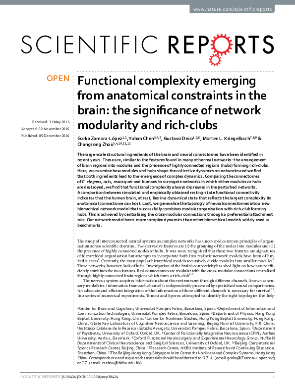 (PDF) Functional complexity emerging from anatomical constraints in the ...