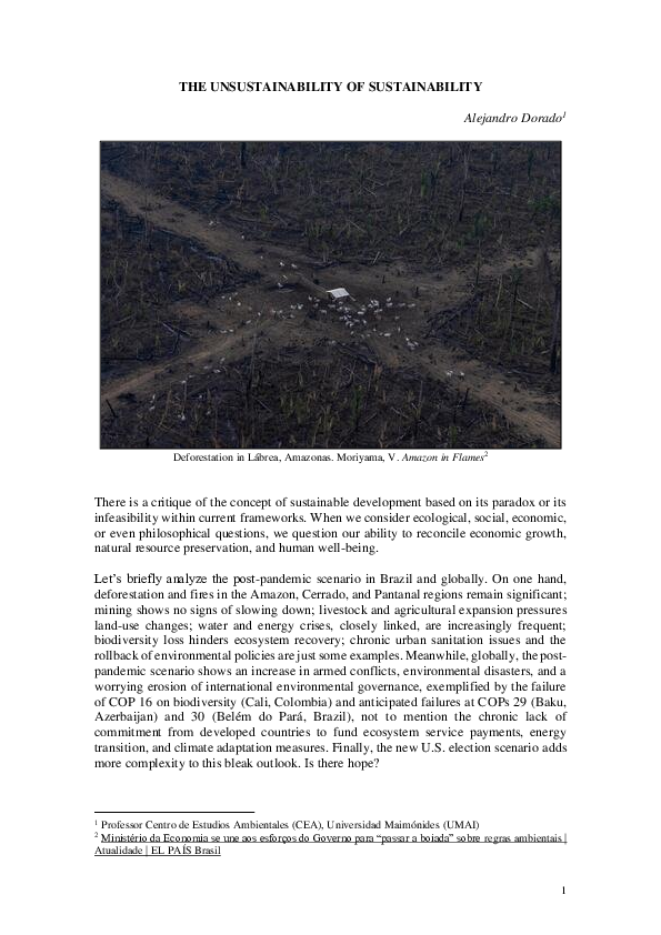 (PDF) THE UNSUSTAINABILITY OF SUSTAINABILITY