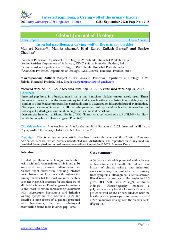 (PDF) Inverted papilloma, a Crying wolf of the urinary bladder | Kirti ...
