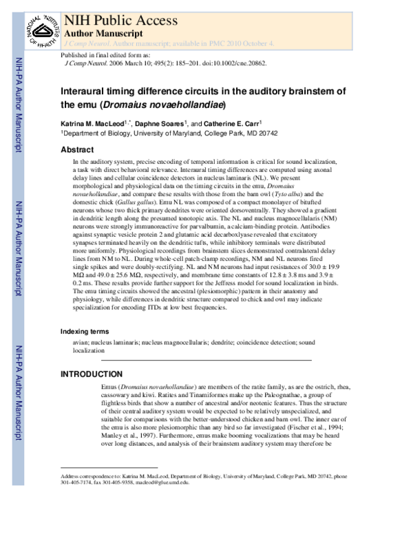 (PDF) Interaural timing difference circuits in the auditory brainstem ...