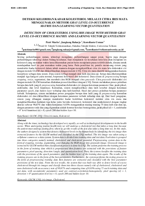 (PDF) Deteksi Kelebihan Kadar Kolesterol Melalui Citra Iris Mata ...