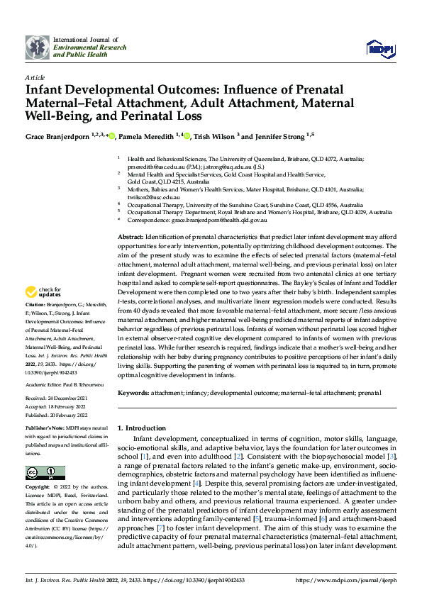 (PDF) Infant Developmental Outcomes: Influence of Prenatal Maternal ...