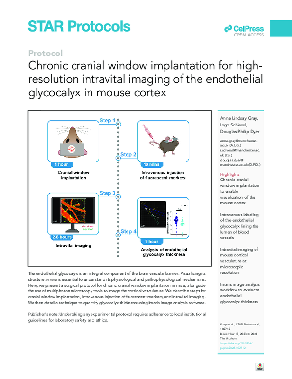 (PDF) Chronic cranial window implantation for highresolution intravital ...