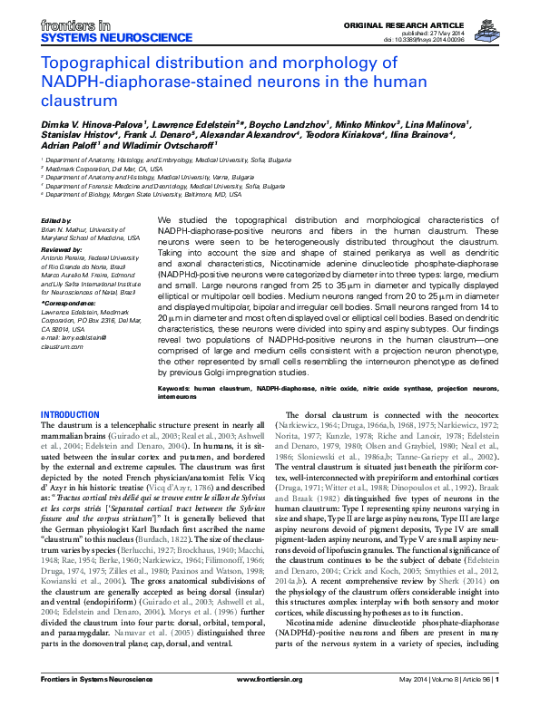 (PDF) Topographical distribution and morphology of NADPH-diaphorase ...