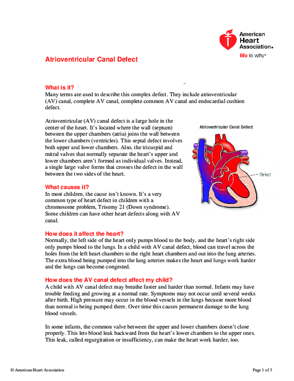 (PDF) Atrioventricular Canal Defect