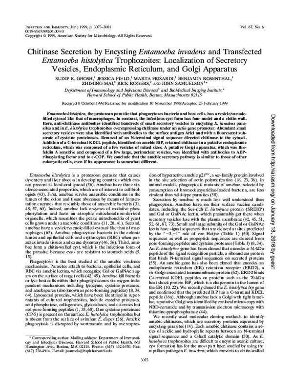 (PDF) Chitinase Secretion by Encysting Entamoeba invadens and ...