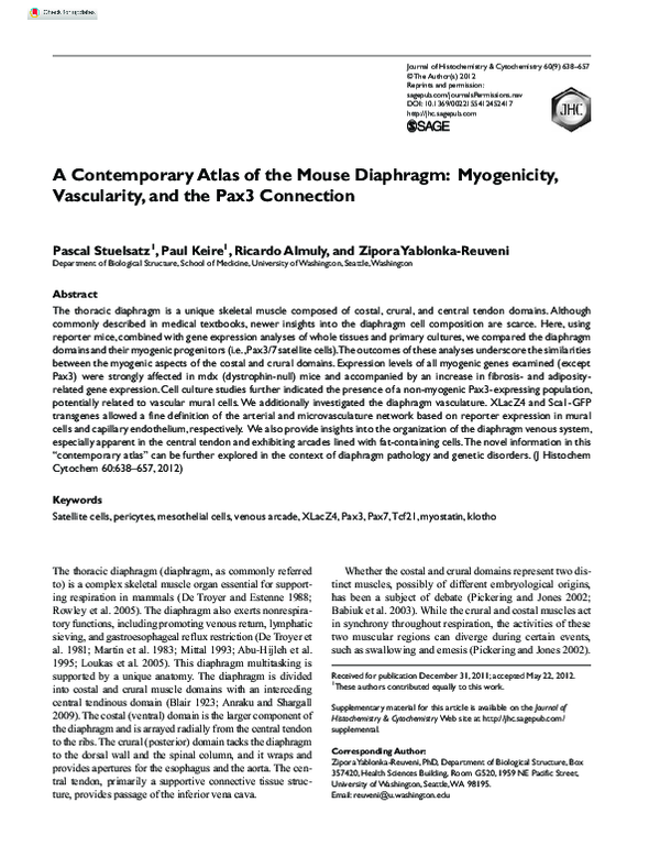 (PDF) A Contemporary Atlas of the Mouse Diaphragm