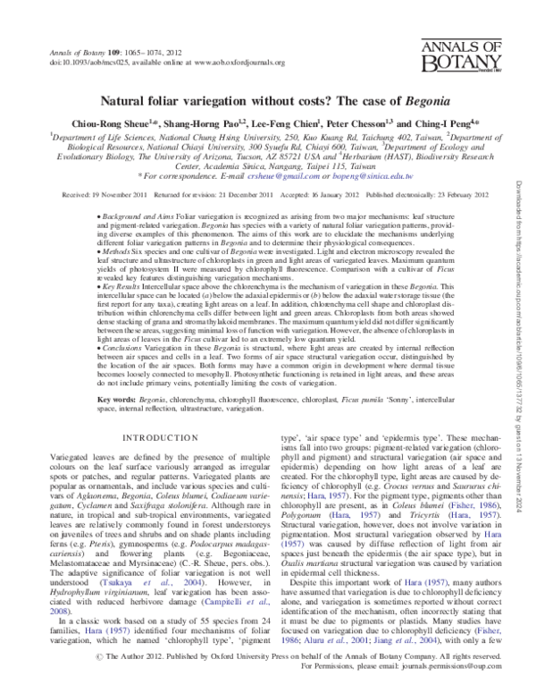 (PDF) Natural foliar variegation without costs? The case of Begonia