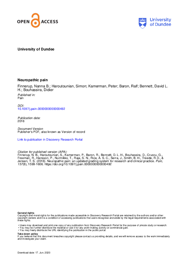 (PDF) Neuropathic pain: an updated grading system for research and ...