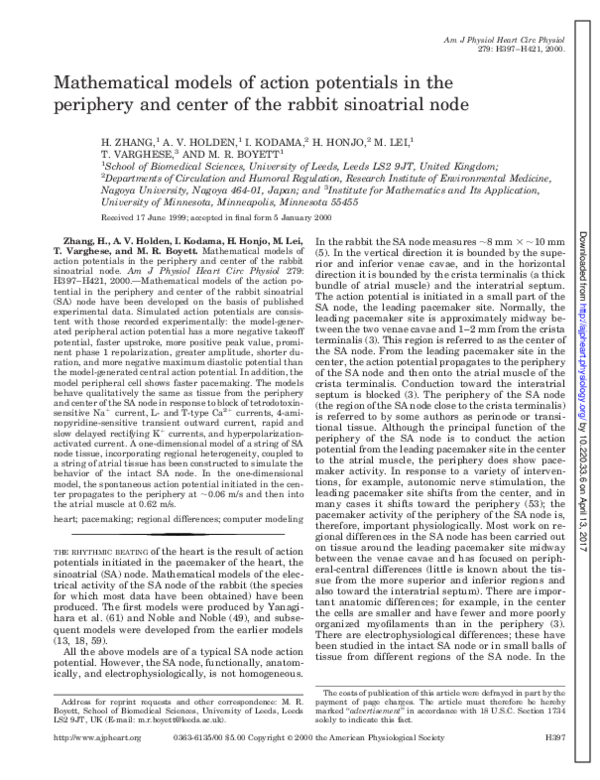 (PDF) Mathematical models of action potentials in the periphery and center of the rabbit ...