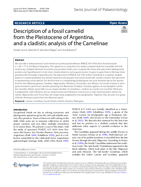 (PDF) Description of a fossil camelid from the Pleistocene of Argentina ...