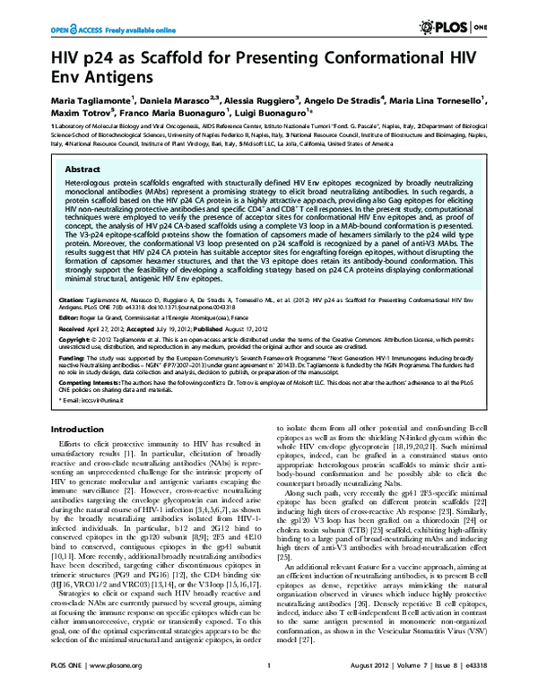 (PDF) HIV p24 as Scaffold for Presenting Conformational HIV Env Antigens | maxim totrov ...