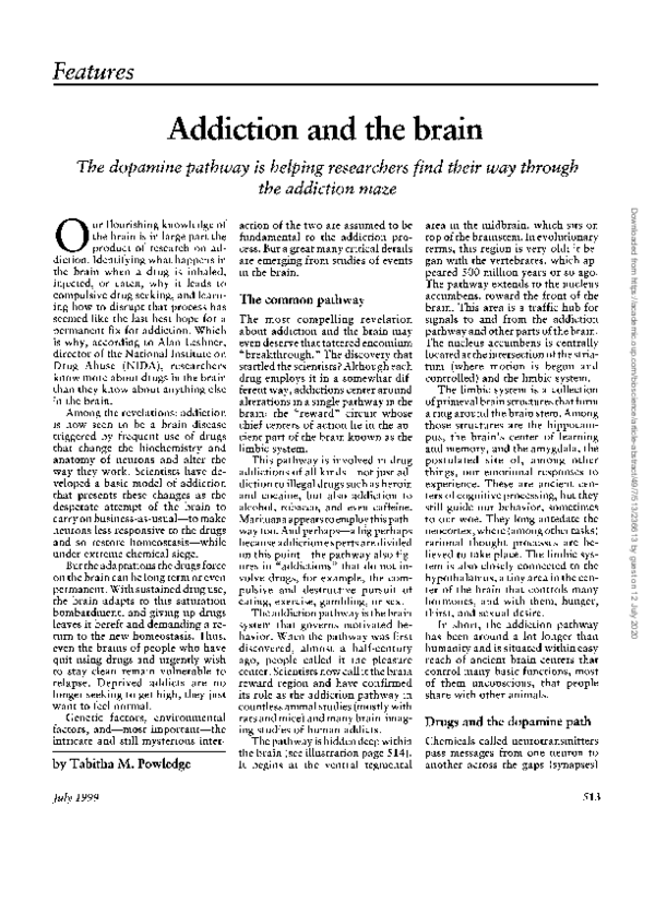 (PDF) Addiction and the brain