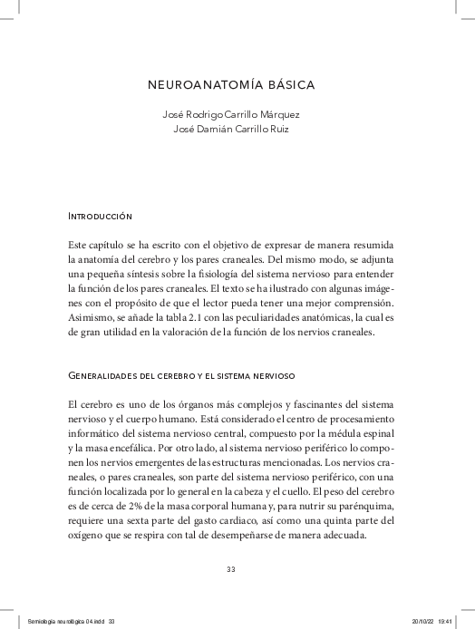 (PDF) Neuroanatomia Basica