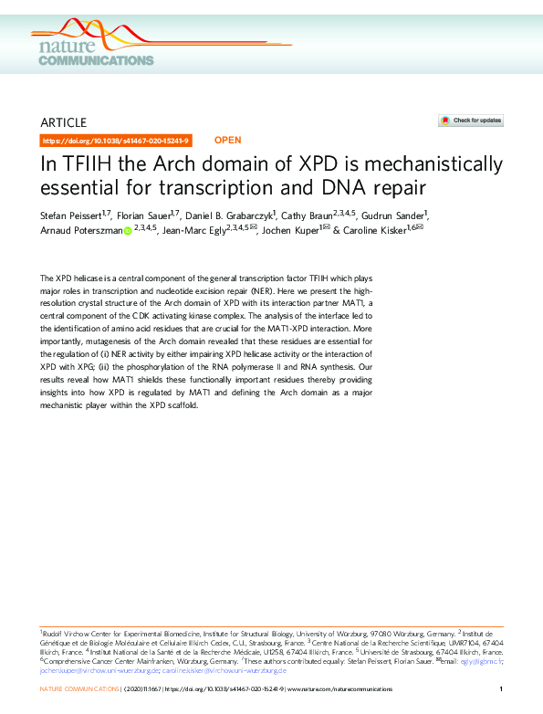 (PDF) In TFIIH the Arch domain of XPD is mechanistically essential for ...