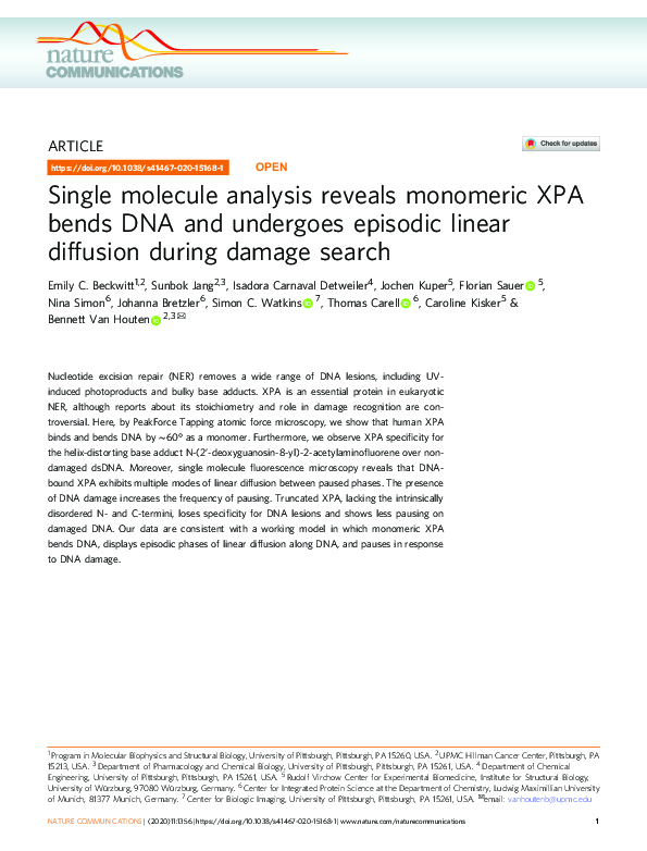 (PDF) Single molecule analysis reveals monomeric XPA bends DNA and undergoes episodic linear ...