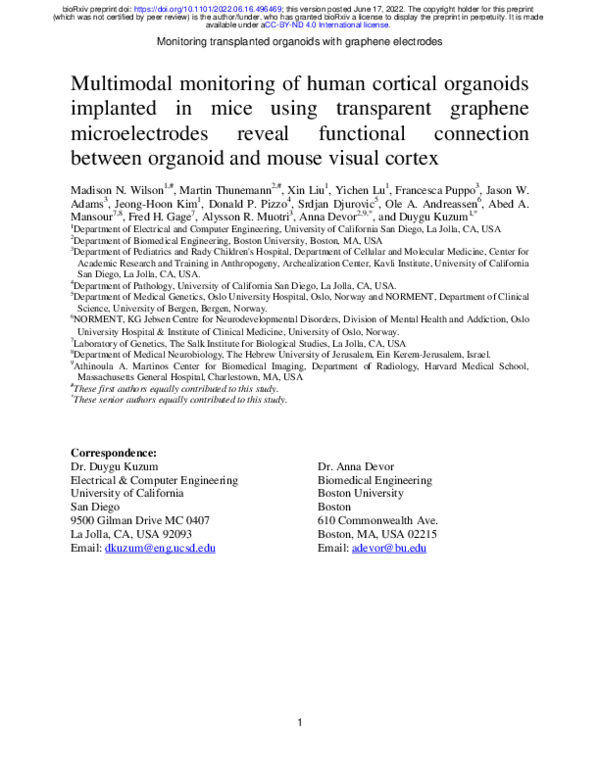 (PDF) Multimodal monitoring of human cortical organoids implanted in mice using transparent ...