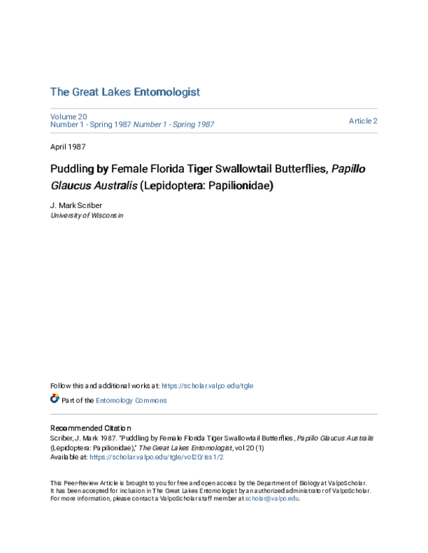 (PDF) Puddling by Female Florida Tiger Swallowtail Butterflies, Papillo ...