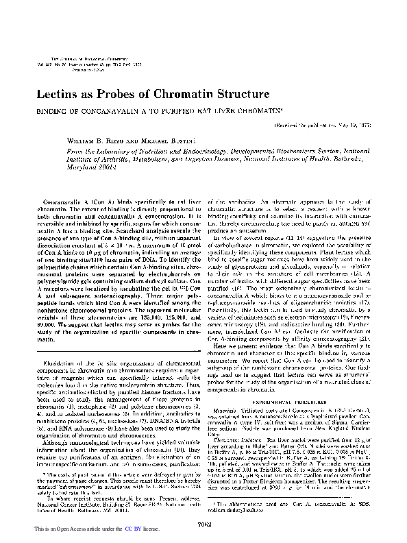 (PDF) Lectins as probes of chromatin structure. Binding of concanavalin ...