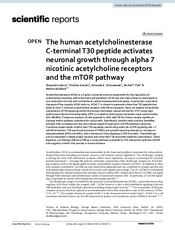 (PDF) The human acetylcholinesterase C-terminal T30 peptide activates ...