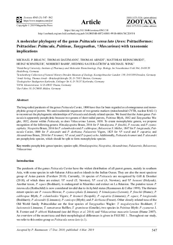 (PDF) A molecular phylogeny of the genus Psittacula sensu lato (Aves ...
