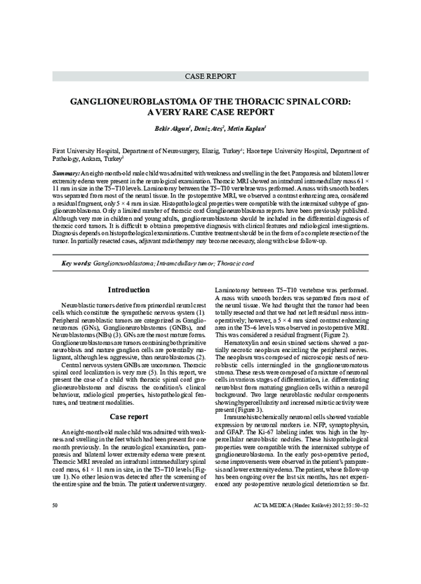 (PDF) Ganglioneuroblastoma of the thoracic spinal cord: a very rare ...