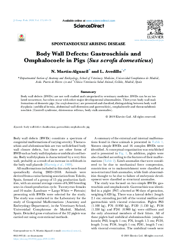 Body Wall Defects: Gastroschisis and Omphalocoele in Pigs (Sus scrofa ...