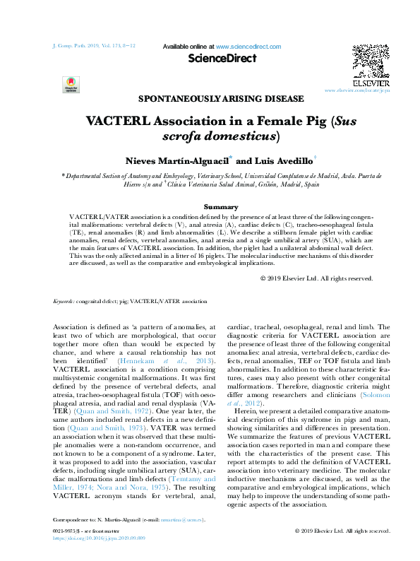 (PDF) VACTERL Association in a Female Pig (Sus scrofa domesticus)