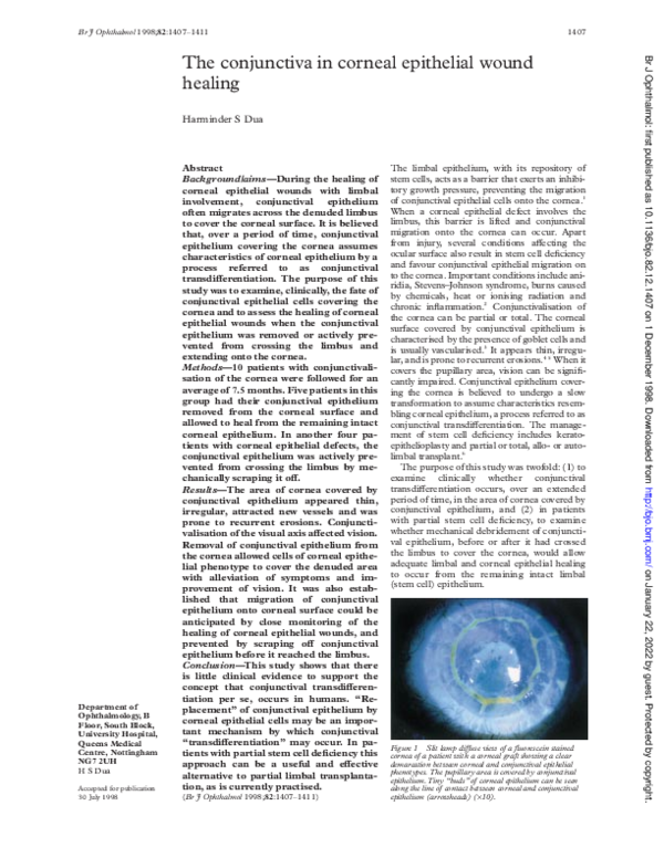 (PDF) The conjunctiva in corneal epithelial wound healing