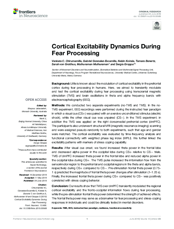 (PDF) Cortical Excitability Dynamics During Fear Processing