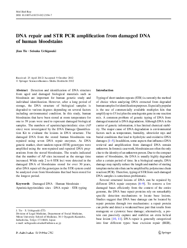 (PDF) DNA repair and STR PCR amplification from damaged DNA of human ...