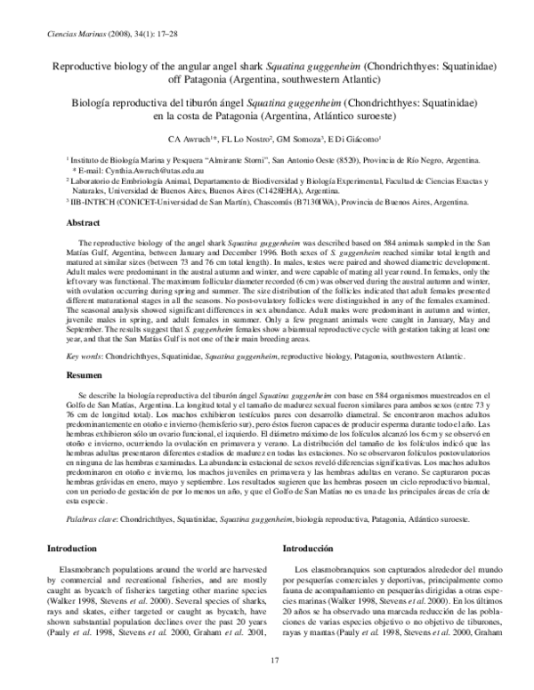 (PDF) Reproductive biology of the angular angel shark Squatina ...