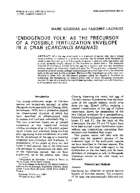 (PDF) ‘Endogenous yolk’ as the precursor of a possible fertilization ...