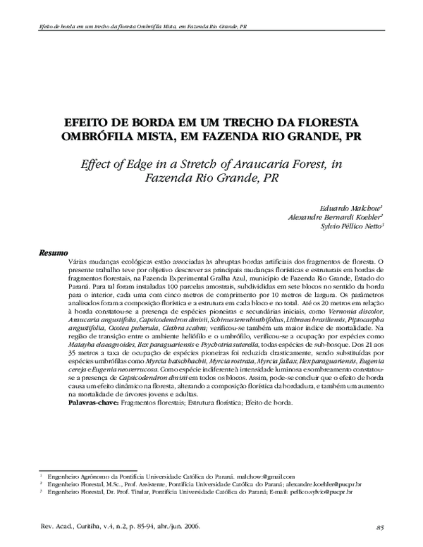 (PDF) Efeito De Borda Em Um Trecho Da Floresta Ombrófila Mista, Em ...