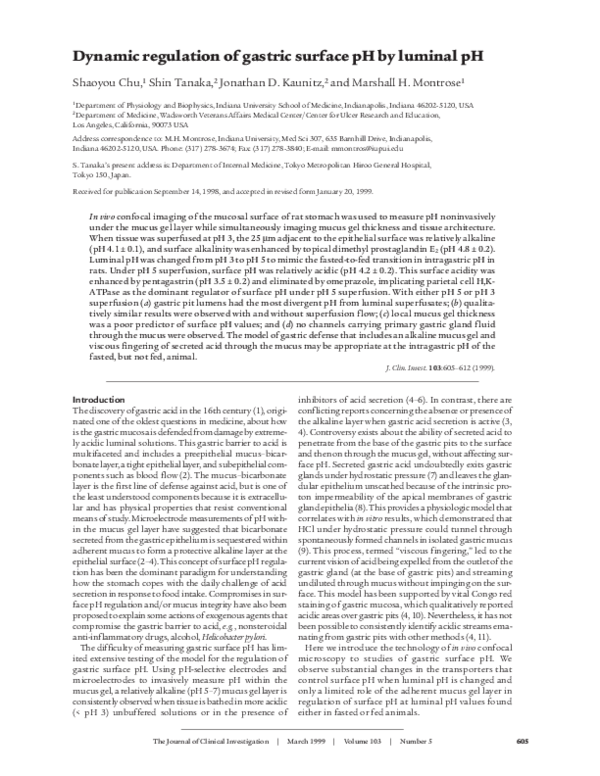 (PDF) Dynamic regulation of gastric surface pH by luminal pH