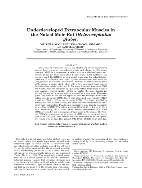 (PDF) Underdeveloped extraocular muscles in the naked mole rat ...