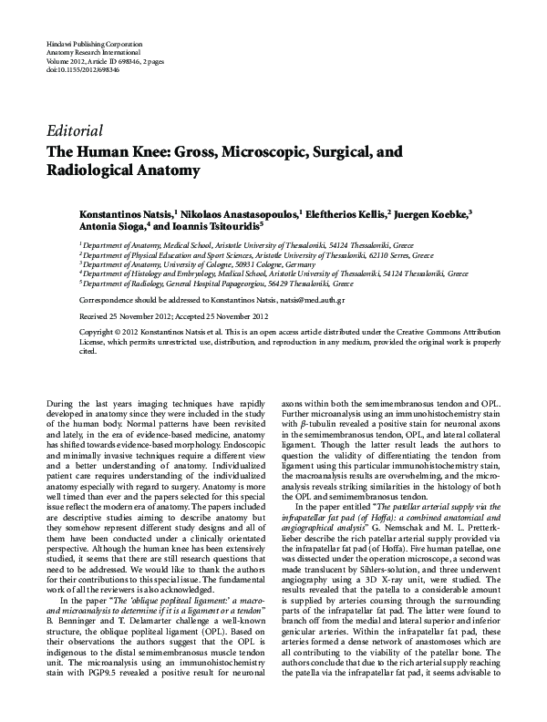 (PDF) The Human Knee: Gross, Microscopic, Surgical, and Radiological ...