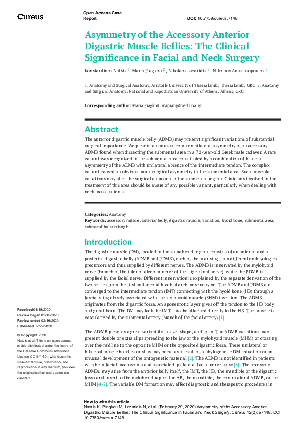(PDF) Asymmetry of the Accessory Anterior Digastric Muscle Bellies: The ...