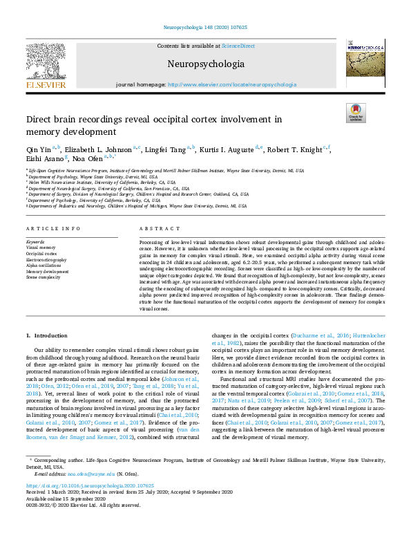 (PDF) Direct brain recordings reveal occipital cortex involvement in memory development