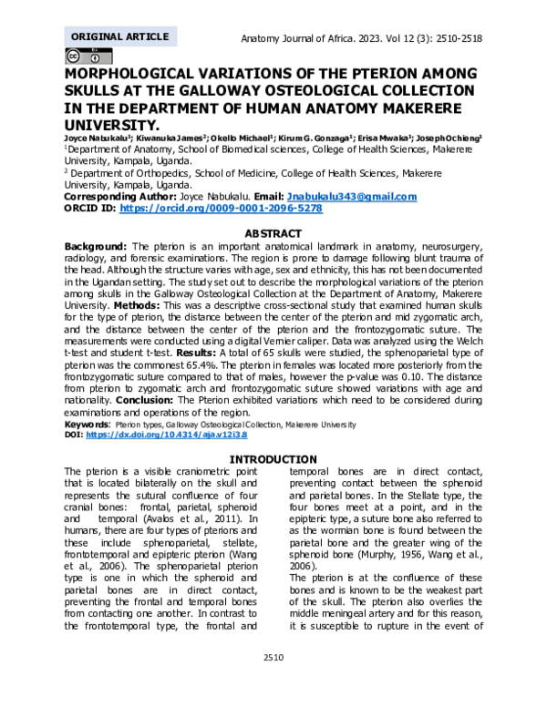 (PDF) Morphological variations of the pterion among skulls at the Galloway Osteological ...