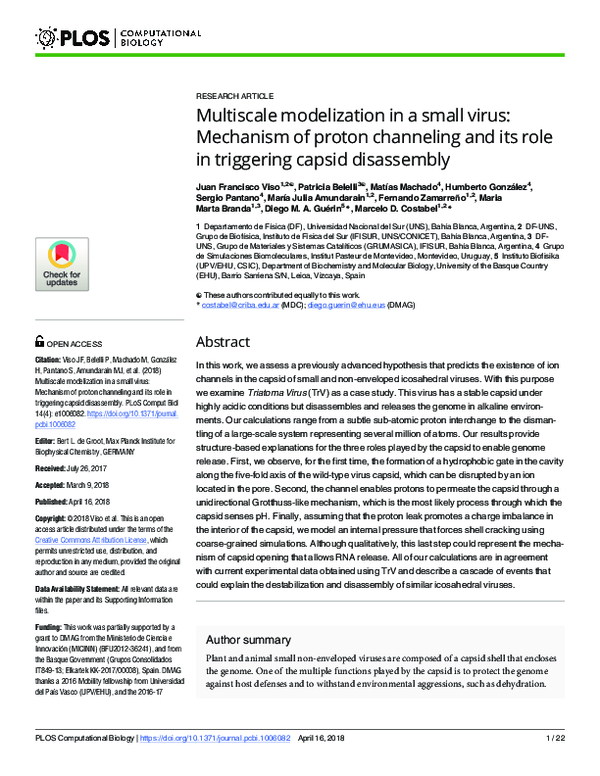 (PDF) Multiscale modelization in a small virus: Mechanism of proton ...