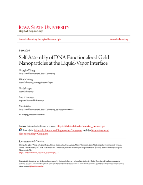 (PDF) Self‐Assembly of DNA Functionalized Gold Nanoparticles at the ...