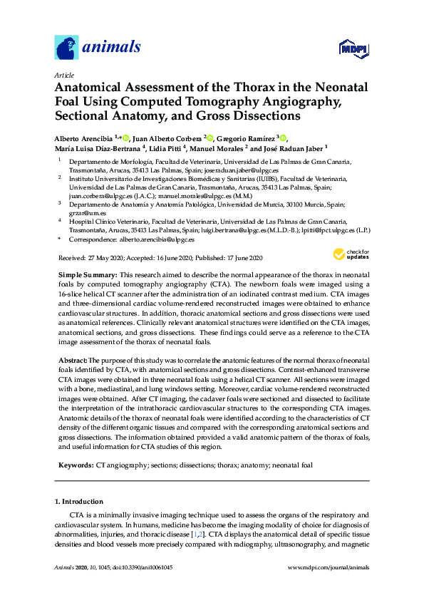 (PDF) Anatomical Assessment of the Thorax in the Neonatal Foal Using ...