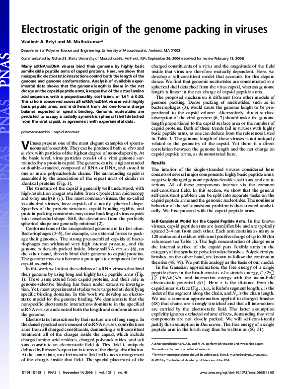 (PDF) Electrostatic origin of the genome packing in viruses