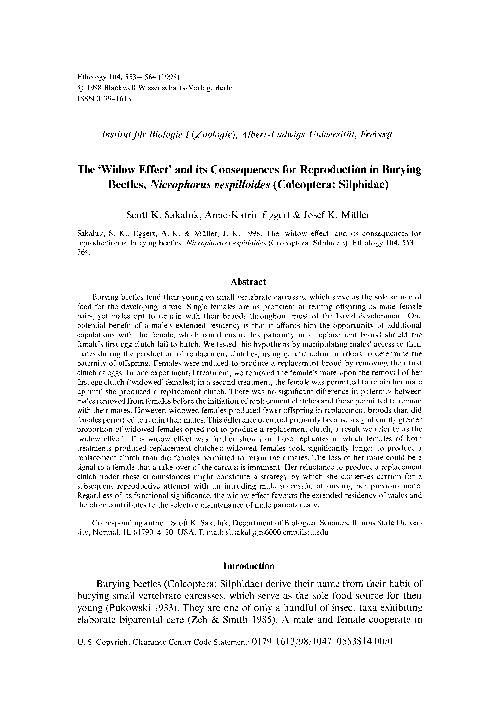 (PDF) The ‘Widow Effect’ and its Consequences for Reproduction in ...