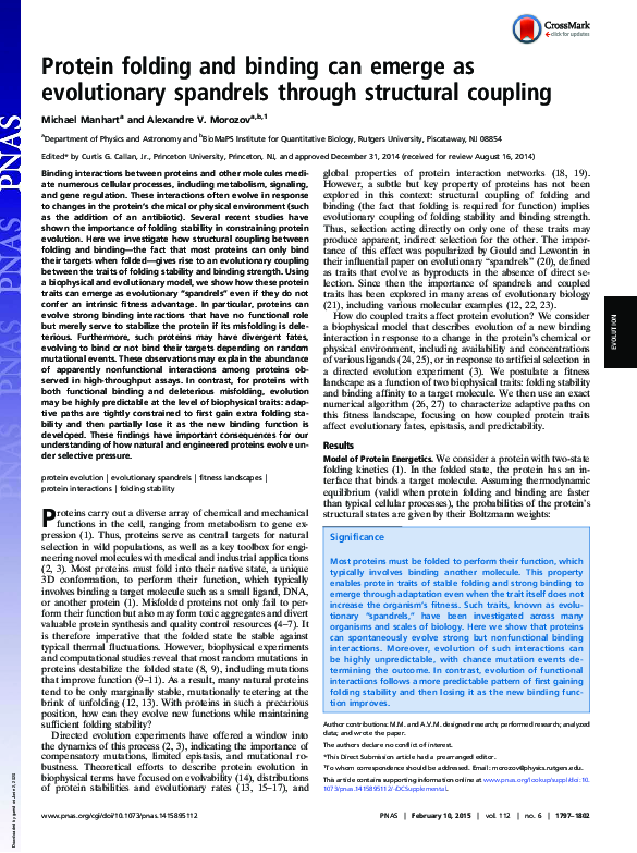 (PDF) Protein folding and binding can emerge as evolutionary spandrels ...